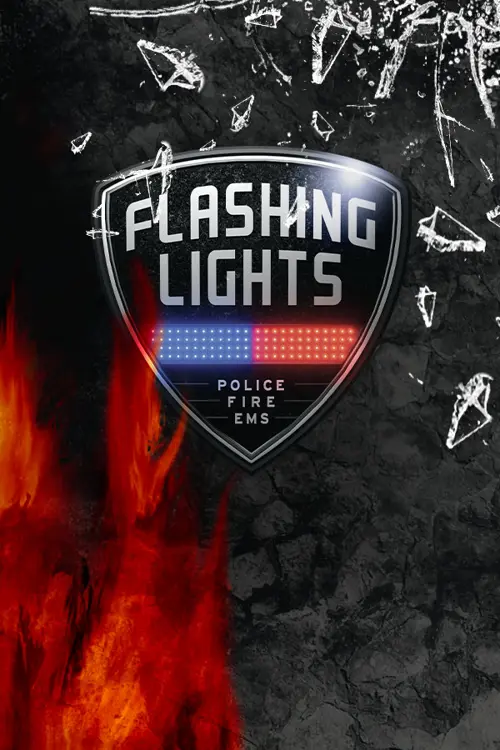 Flashing Lights - Police, Firefighting, Emergency Services (EMS ...
